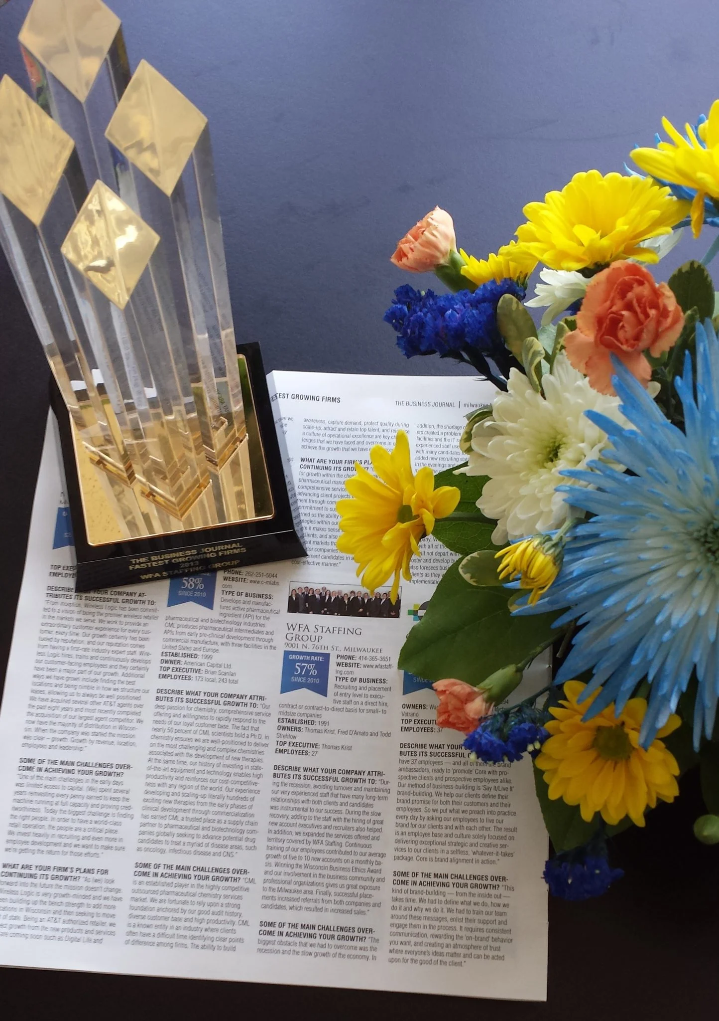 Job Seekers » WFA Staffing Group